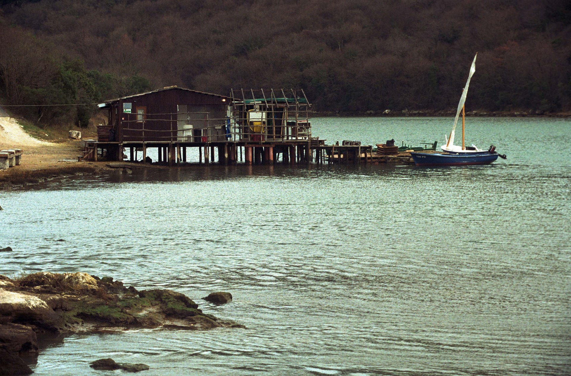 Walking Lim bay and Kontija forest | Libro Adventures Croatia
